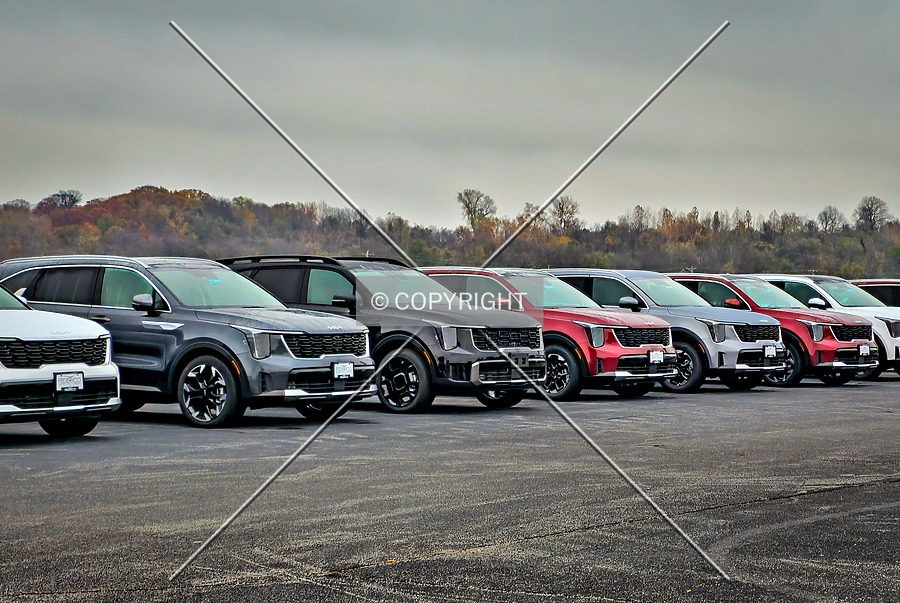 Zeiser Kia Wood River Photo 498-875-395 - Stock Image - SKYDB