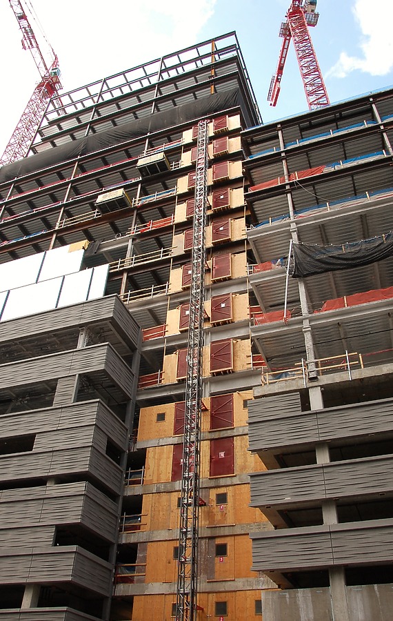 16 Chestnut Photo 511-777-297 - Stock Image - SKYDB