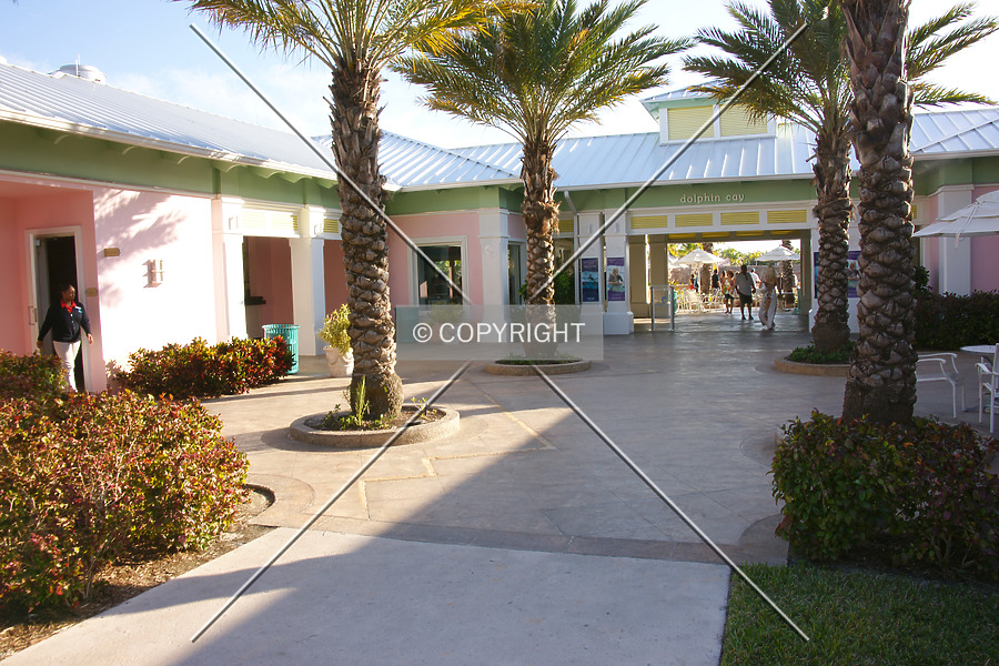 Dolphin Cay Photo 580-641-446 - Stock Image - SKYDB