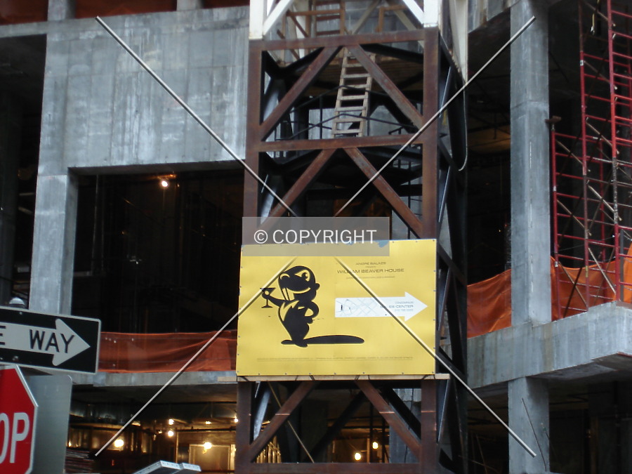 William Beaver House Photo 719-949-834 - Stock Image - SKYDB