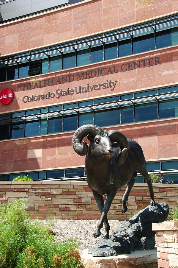 CSU Health & Medical Center Photo 787-240-602 - Stock Image - SKYDB